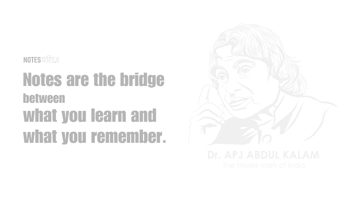 Transition Words For Essay: Start, Body and Conclusion Paragraphs